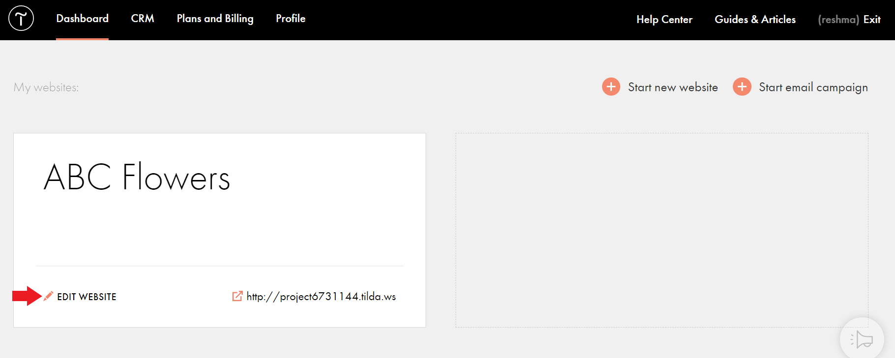 How To Add A Chatbot in Tilda Website