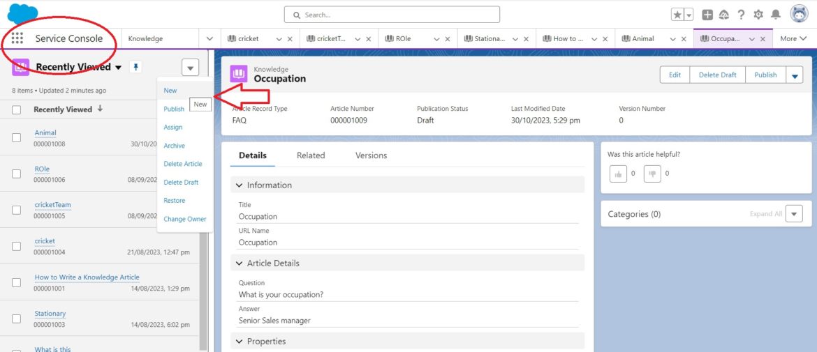 How to Connect your Salesforce Knowledge Base into a Chatbot